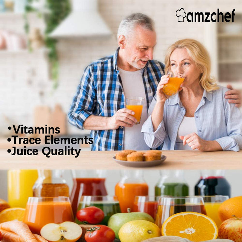 AMZCHEF Slow Masticating Cold Press Juicer ZM1501